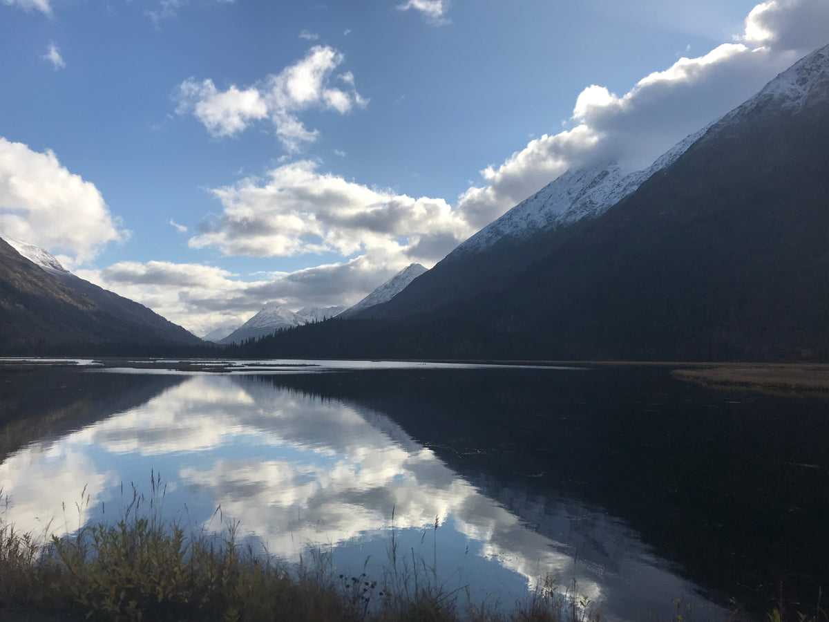 Essential Hiking Gear for Alaskan Trails: Your Complete Guide & Tips ...